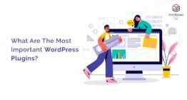 What Are The Most Important WordPress Plugins?