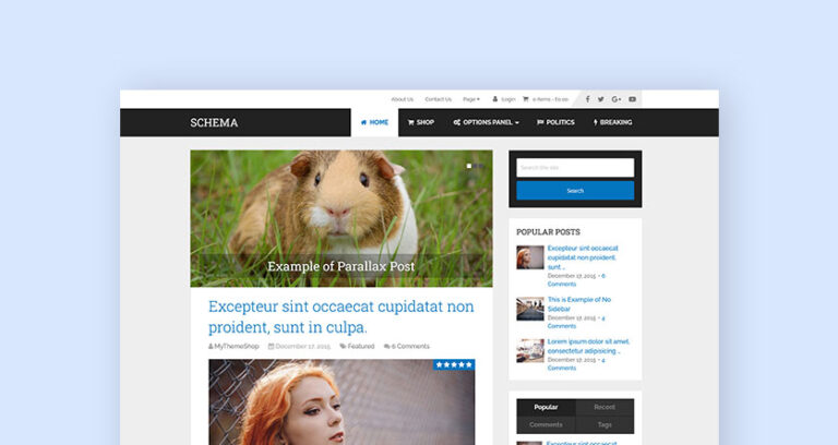 Top 7 Best Amazon Affiliate WordPress Themes In 2023
